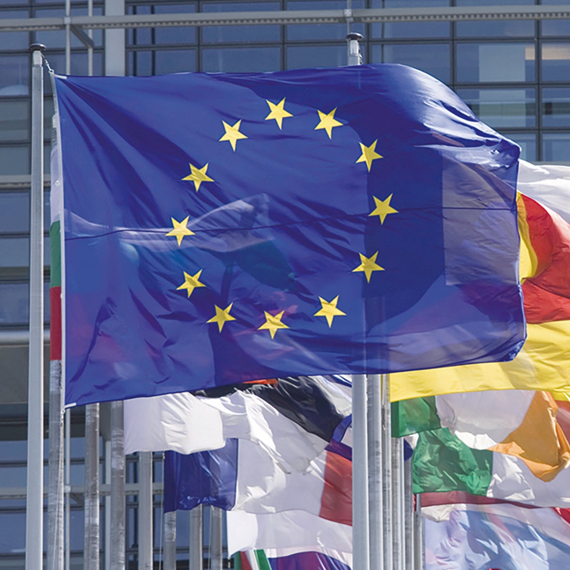 Nationsflagga EU – 350 cm (14 m) | Köp online - Unigraphics